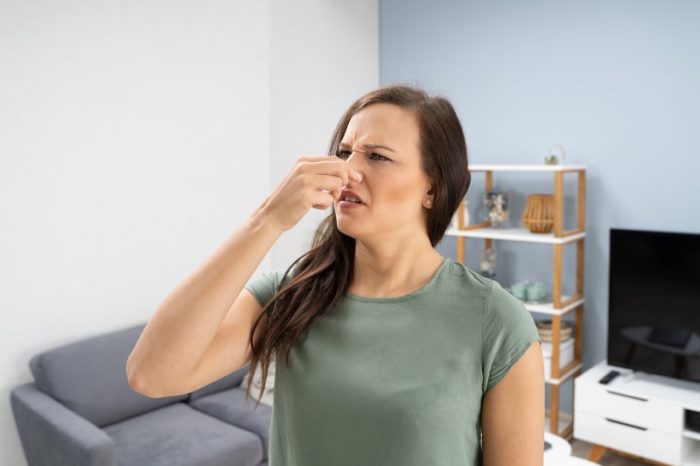 Why Does My AC in Cooper City, FL, Smell Smoky?